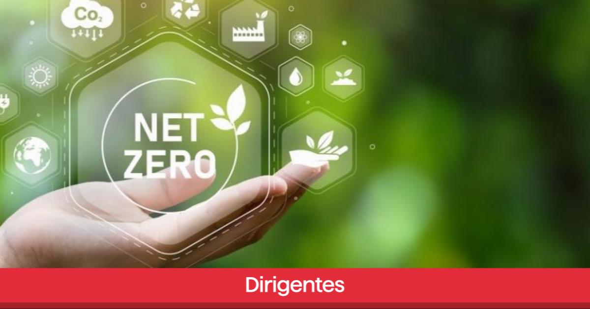 Amundi lanza una gama de estrategias Amundi lanza una gama de estrategias